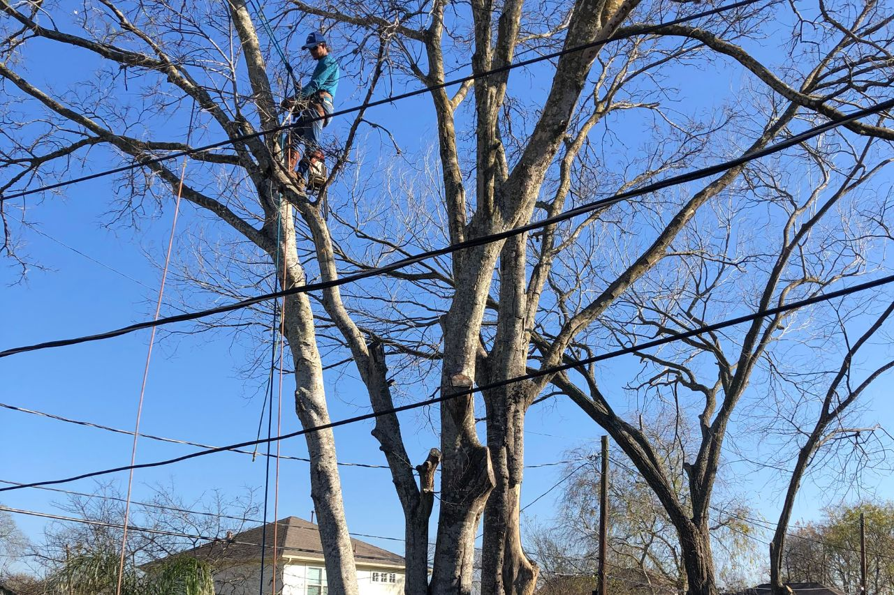 Areas Served - J&C Tree Service